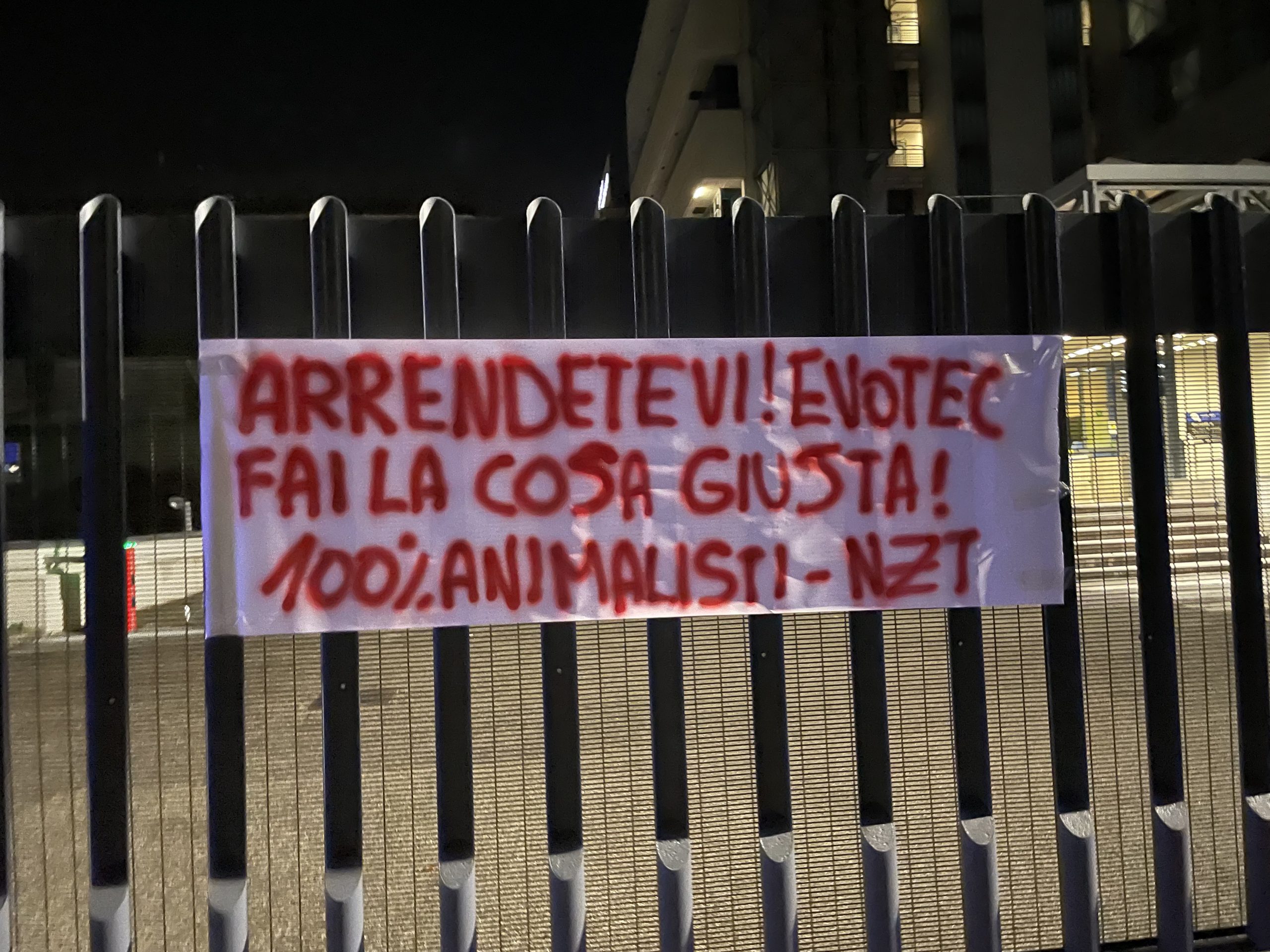Verona, blitz animalista per i beagle: "E' l'ultimo, la resa di Evotec ...