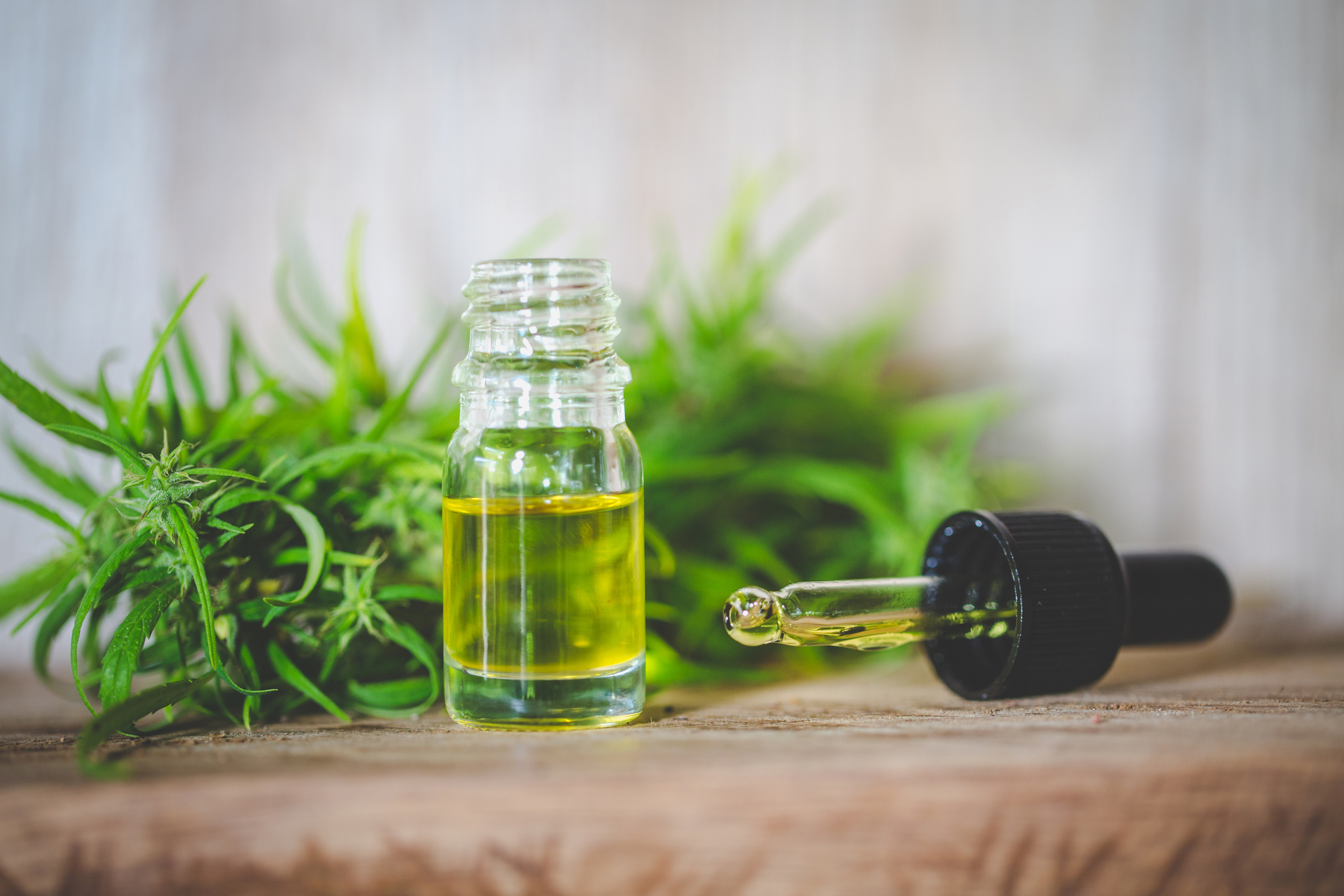 CBD, cresce l’interesse dei consumatori verso prodotti e acquisti ...