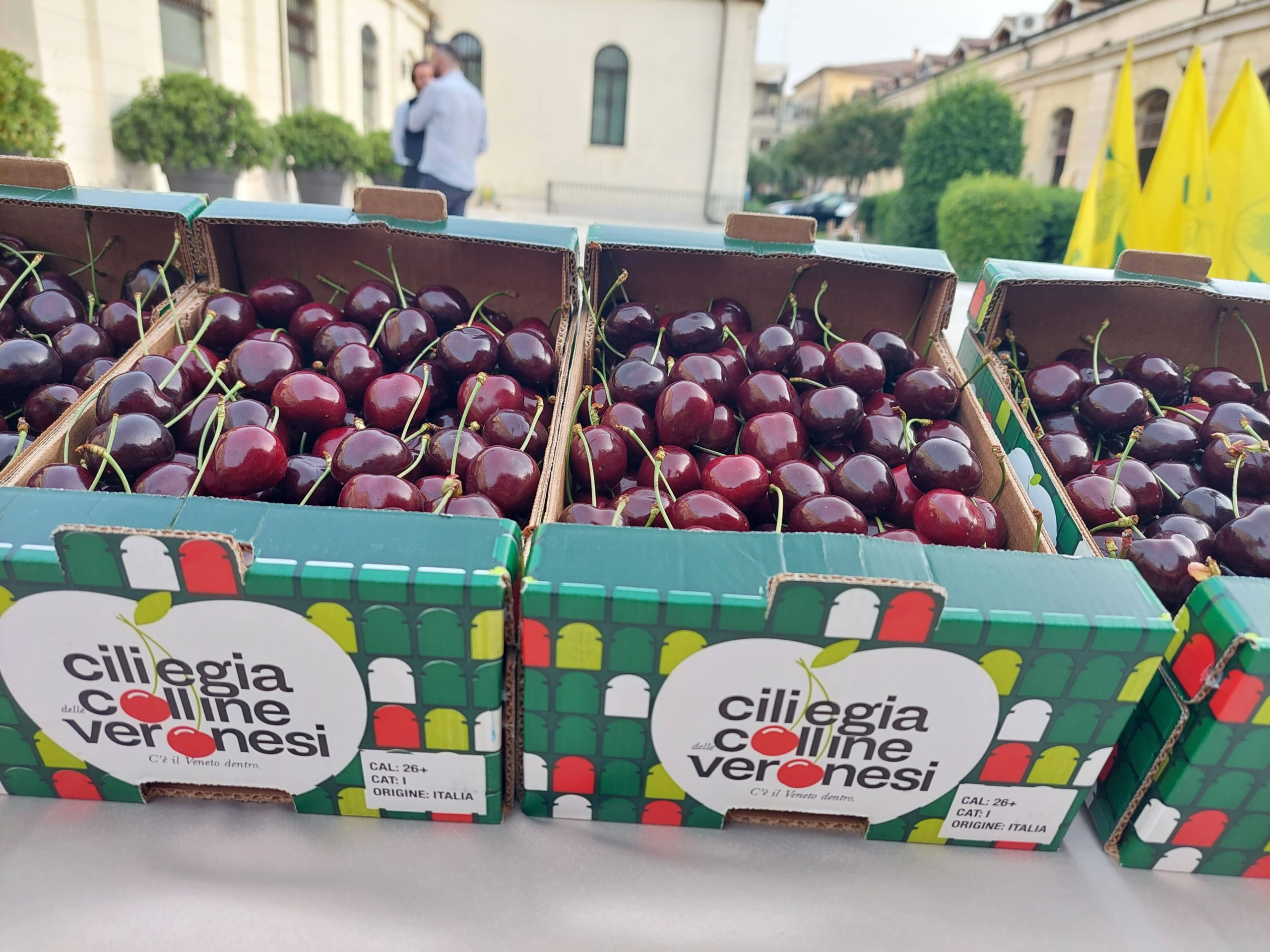 Nuovo marchio per la ciliegia di Verona: "Si va verso il riconoscimento ...