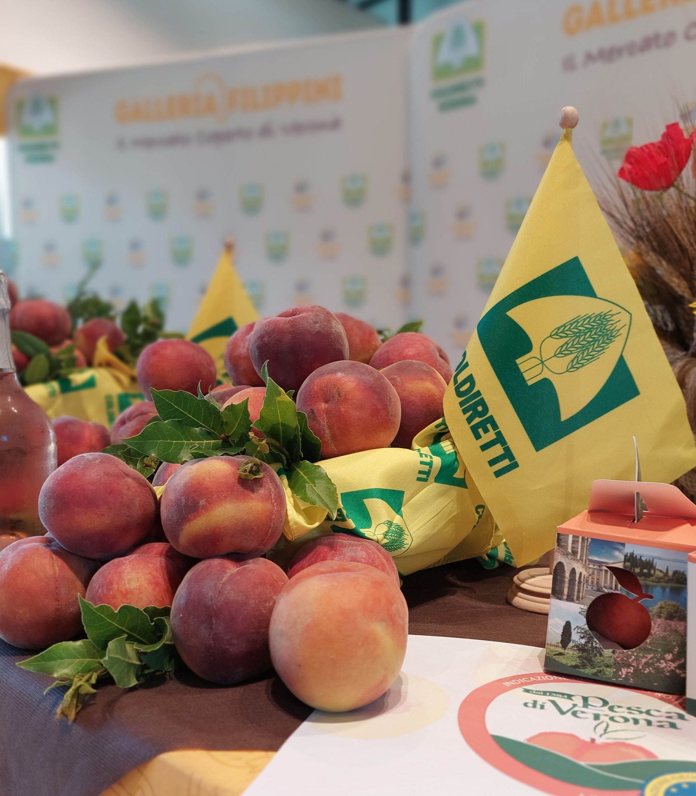 La pesca di Verona si riprende il marchio Igp: era stato revocato nel 2018