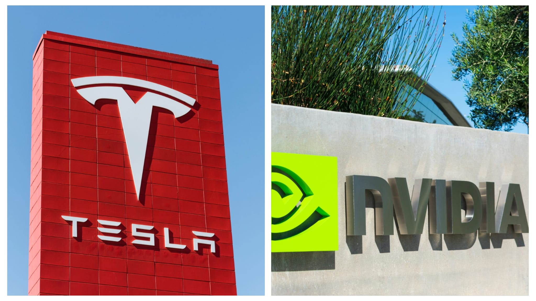 tesla Archivi - Verona Oggi - notizie da Verona