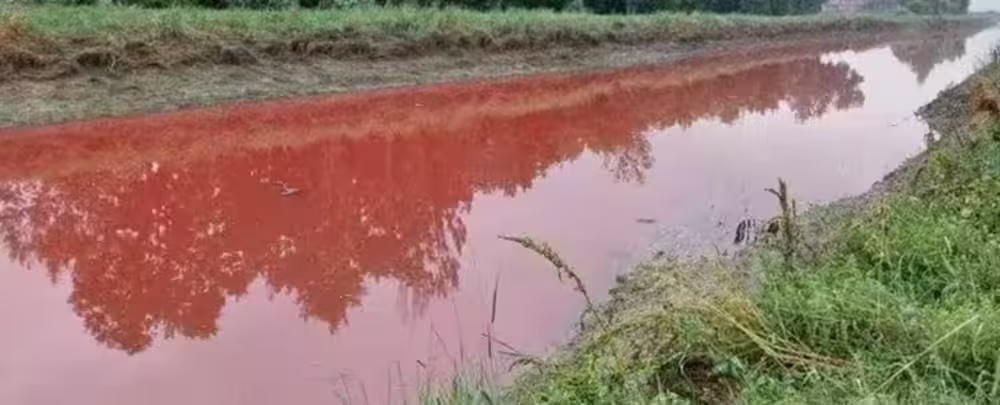 Allarme a Legnago, le acque del canale diventano rosse