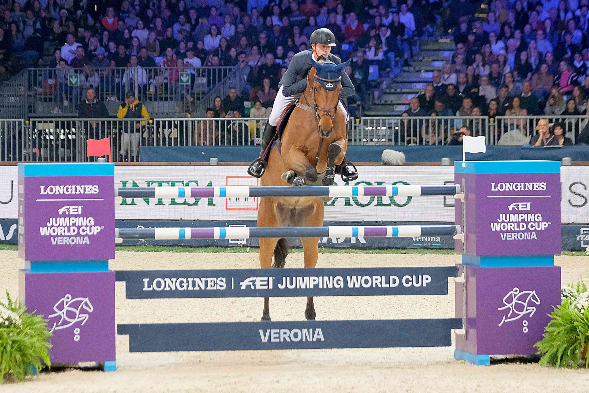 Fieracavalli 2024: tutto pronto per il grande evento equestre