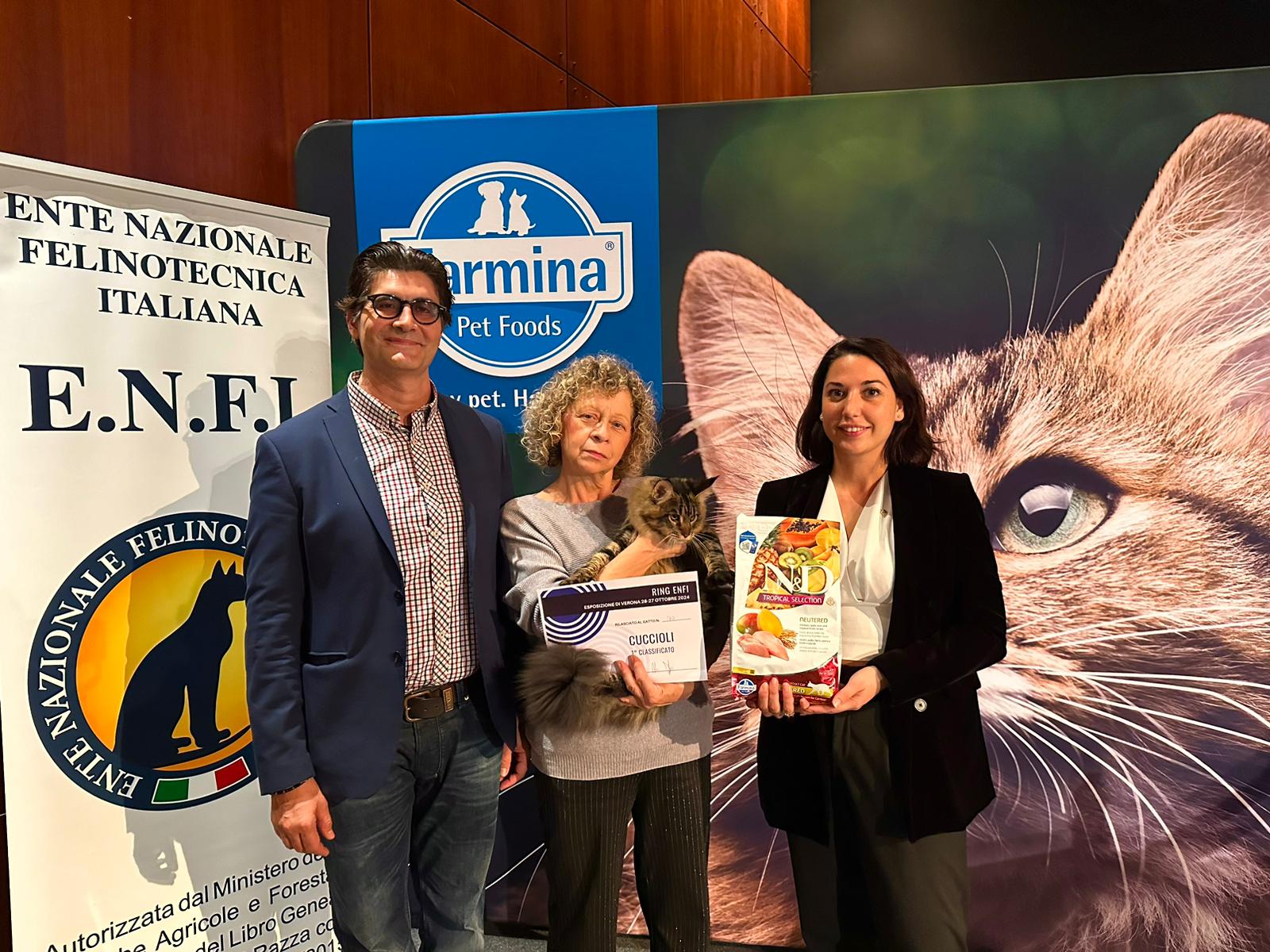 Gatti a Verona, ecco Louis: è lui il cucciolo più bello del mondo