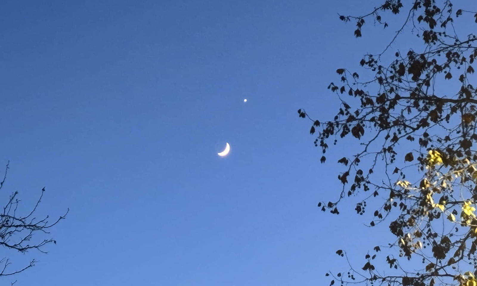 Il bacio celeste tra Luna e Venere visto nel cielo sopra Verona
