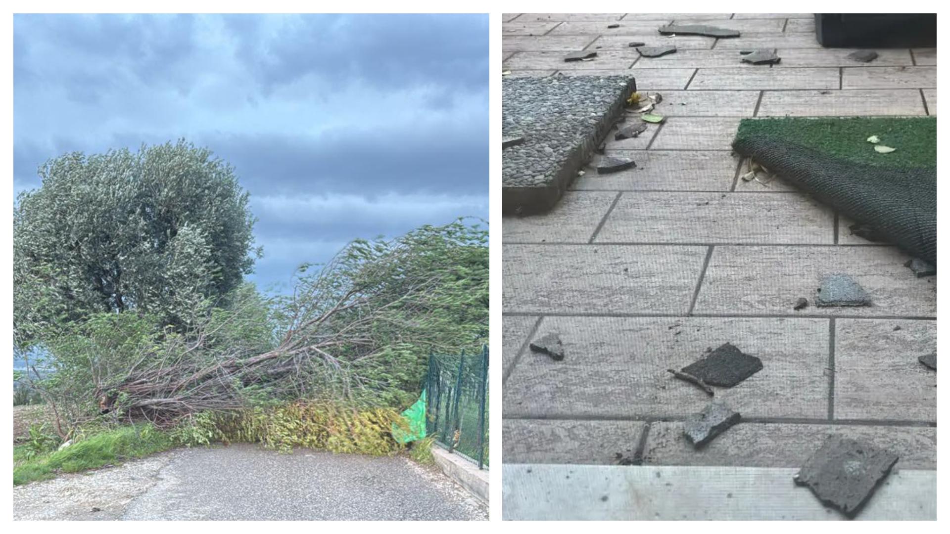 Allerta gialla per vento forte a Verona: burrasca causa danni