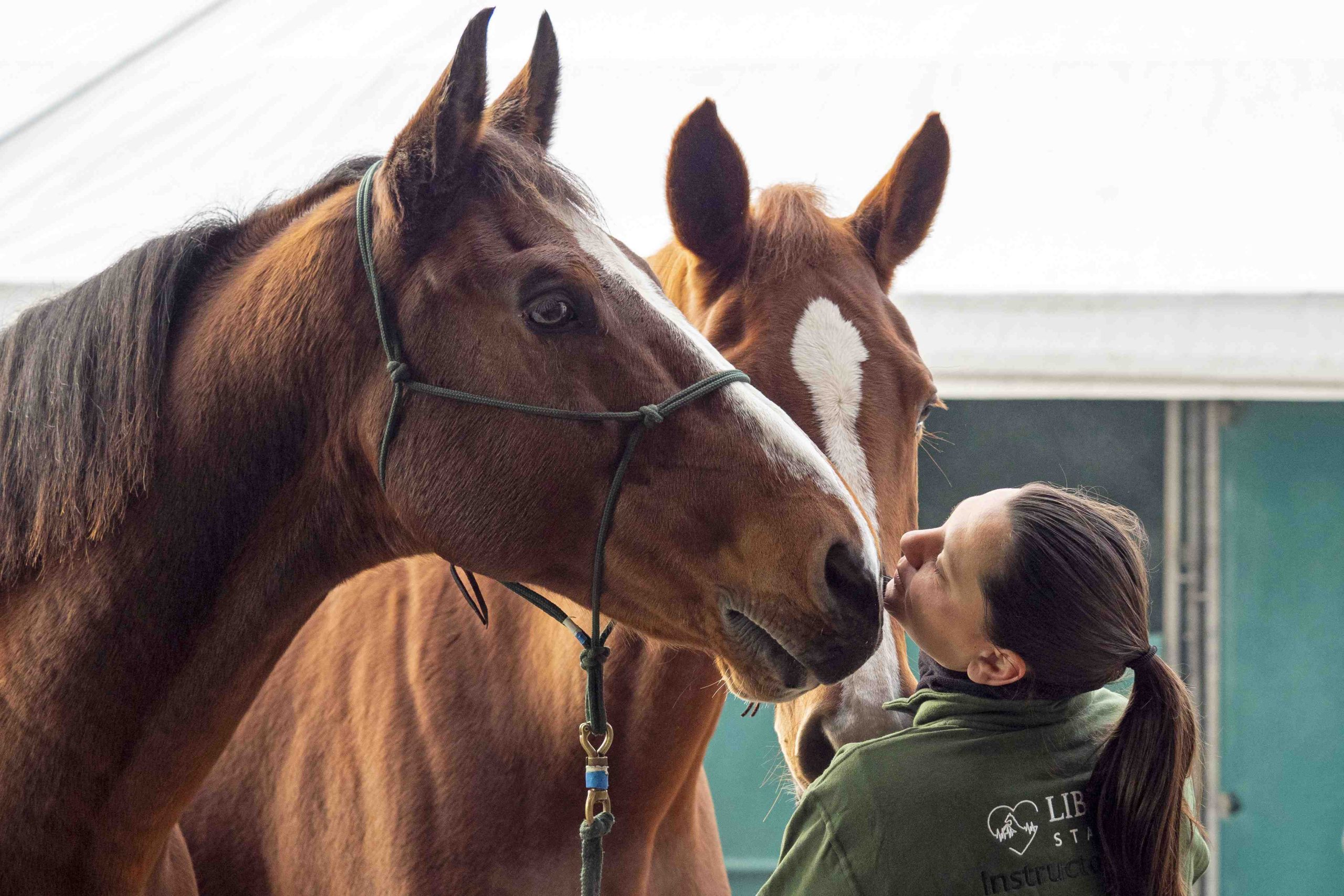 Fieracavalli 2025: Verona presenta il futuro dell'equitazione