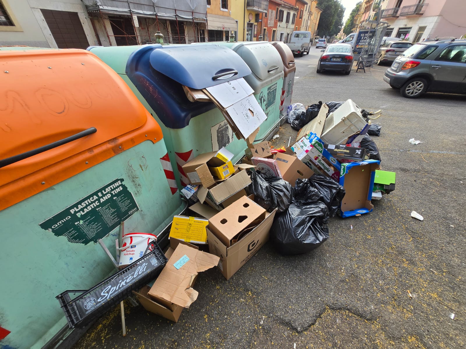 Rifiuti a San Zeno: "Atto incivile o provocazione politica?"