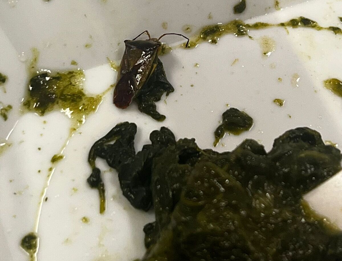 Download bokep abg smp texted Claire on Tryst and was able