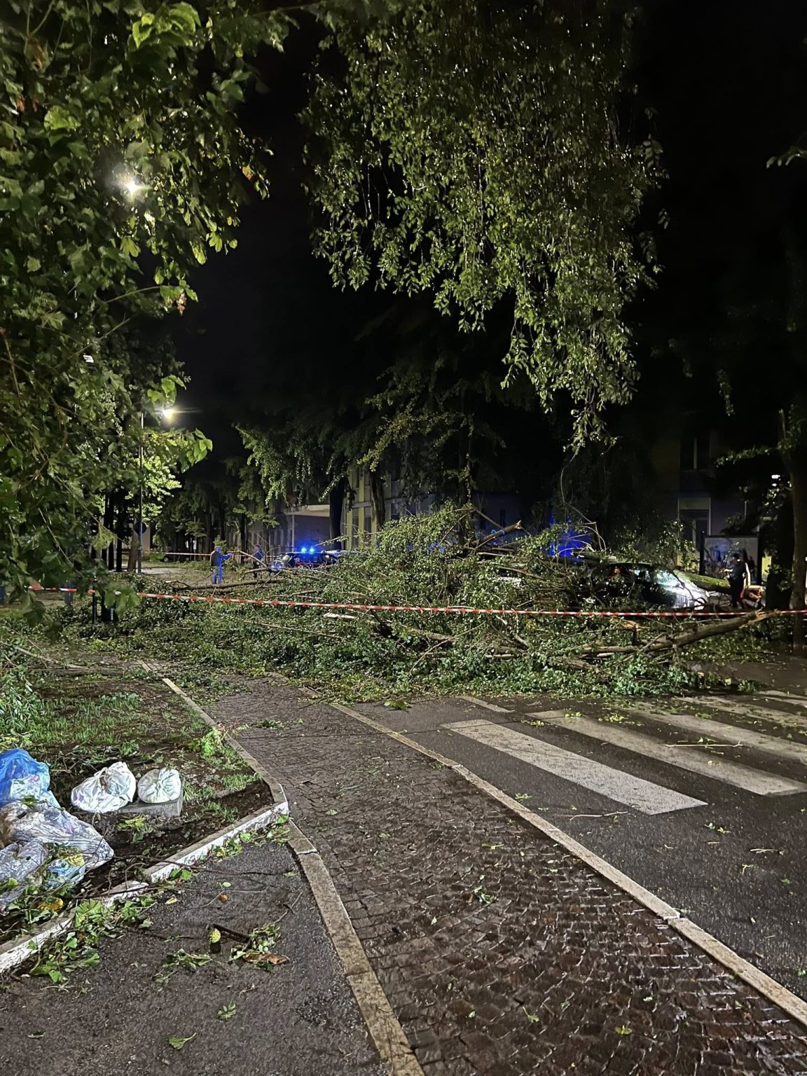 San Bonifacio, la furia del cielo: alberi sradicati e tetti distrutti
