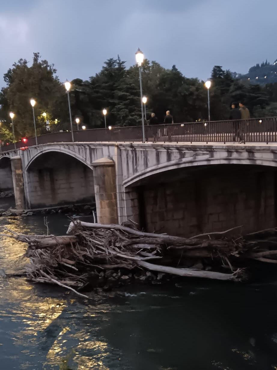 Rimozione tronchi su ponte Garibaldi: disagi al traffico dal mattino