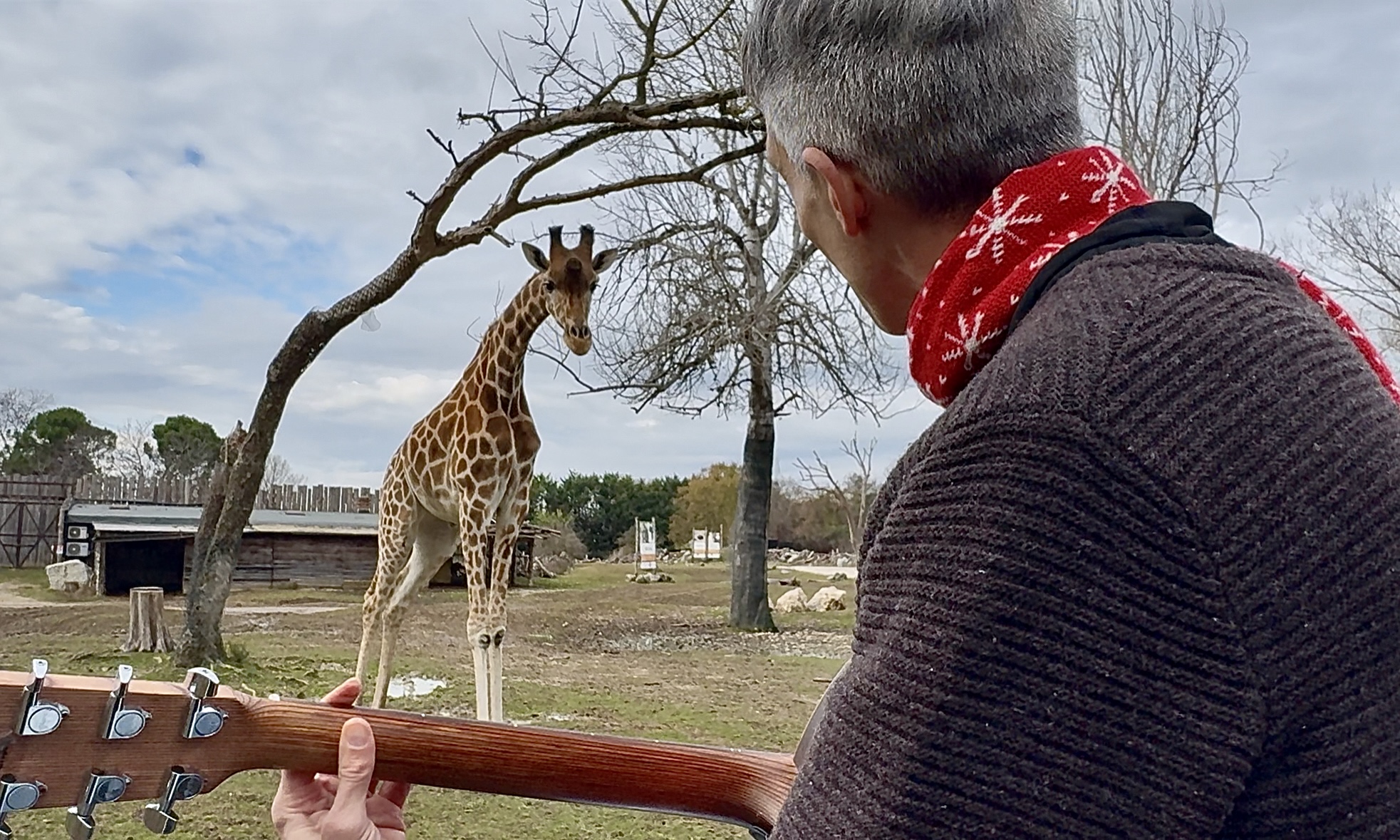 La musica di Natale piace agli animali: il concerto al parco