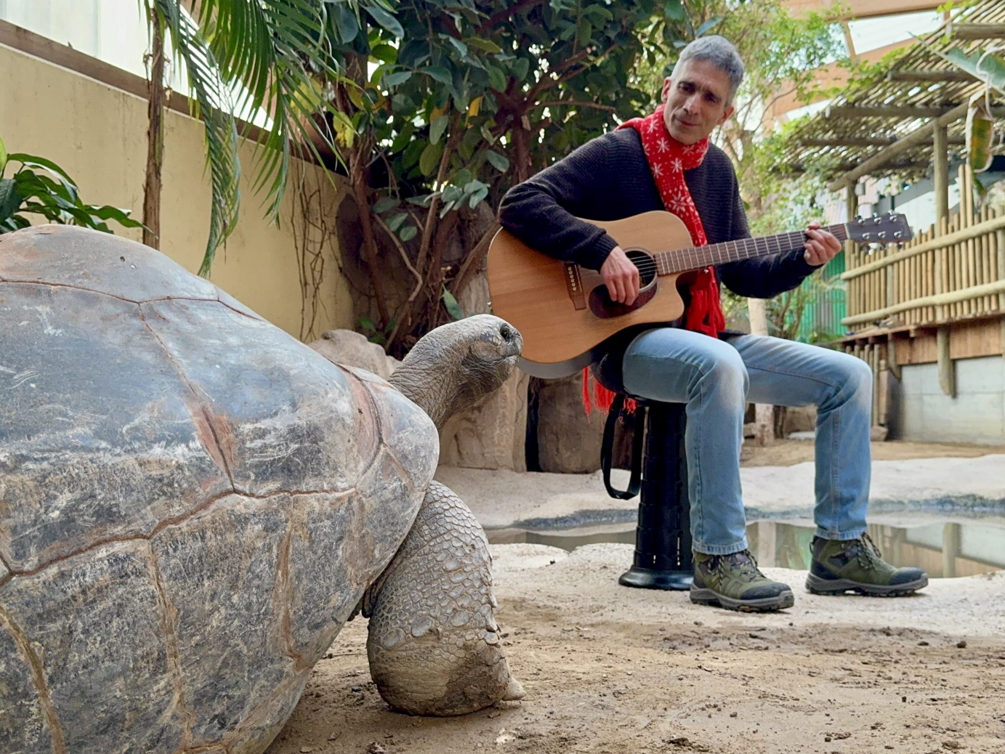 La musica di Natale piace agli animali: il concerto al parco