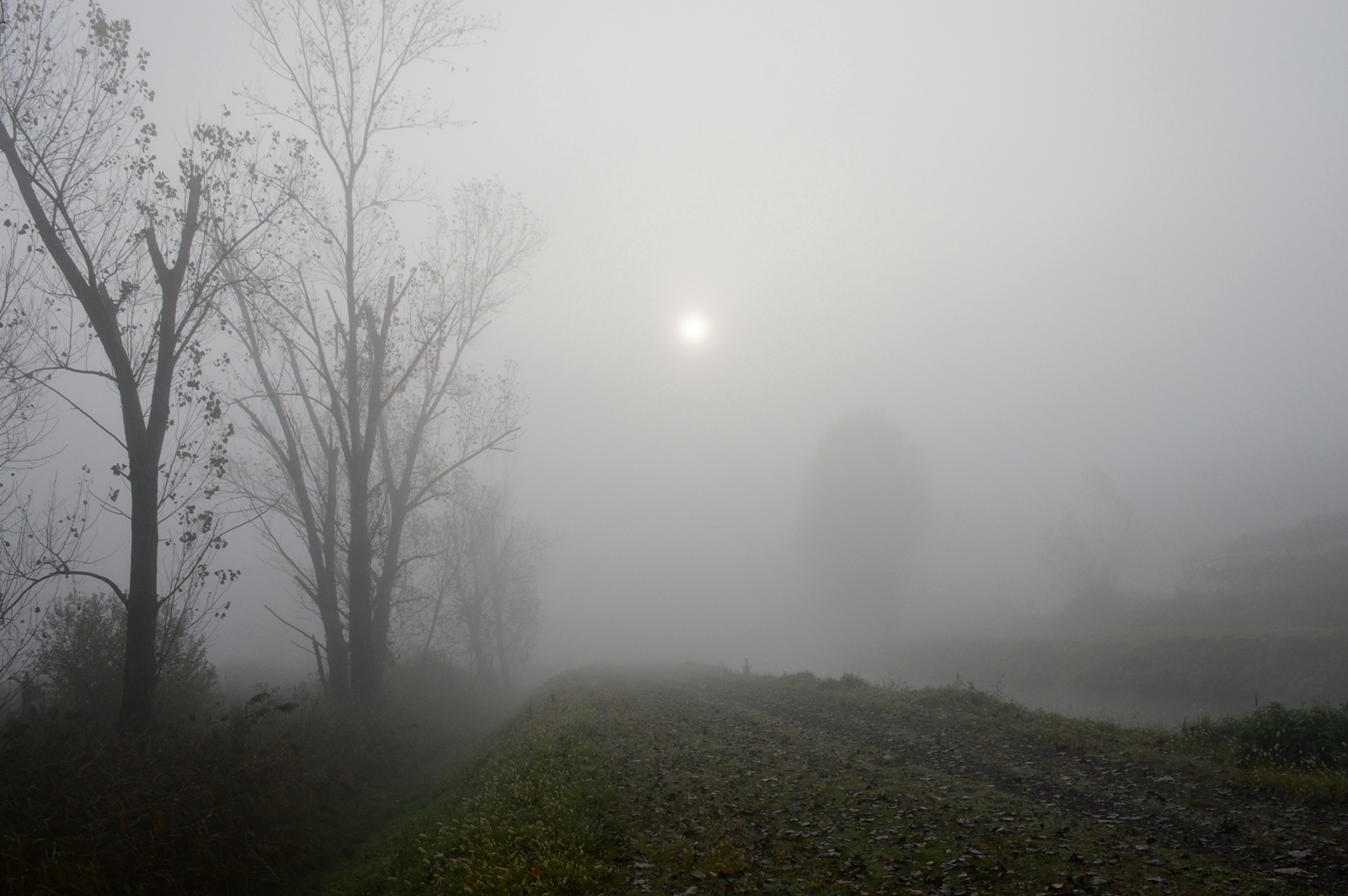 Meteo pazzo a Verona, temperature oltre media e nebbia in pianura