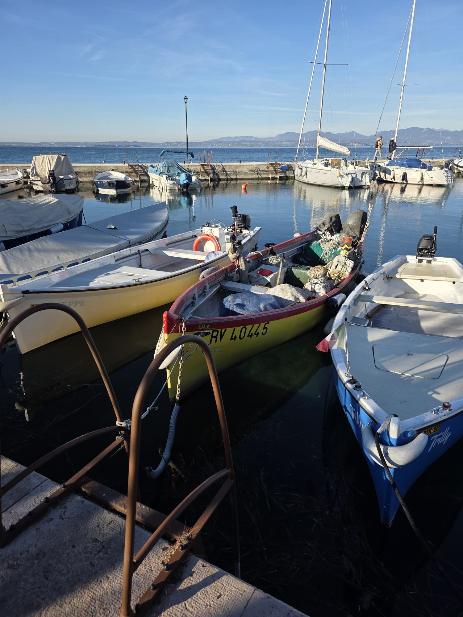 Pesce del Garda, svolta a Lazise: arriva il "bollino" di qualità