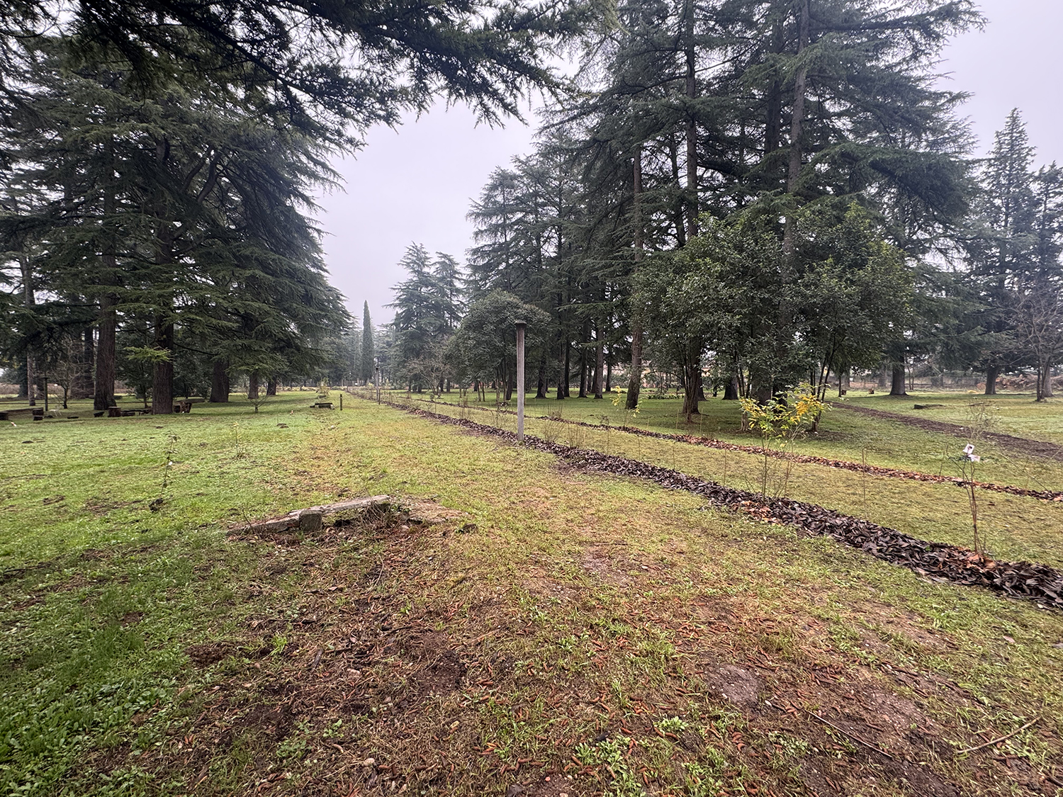 Verona, Villa Pullè: il parco si arricchisce di nuove aree recuperate